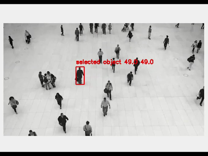 Do computer vision, yolo, object detection, classification, segmentation by Hassan_hfk | Fiverr