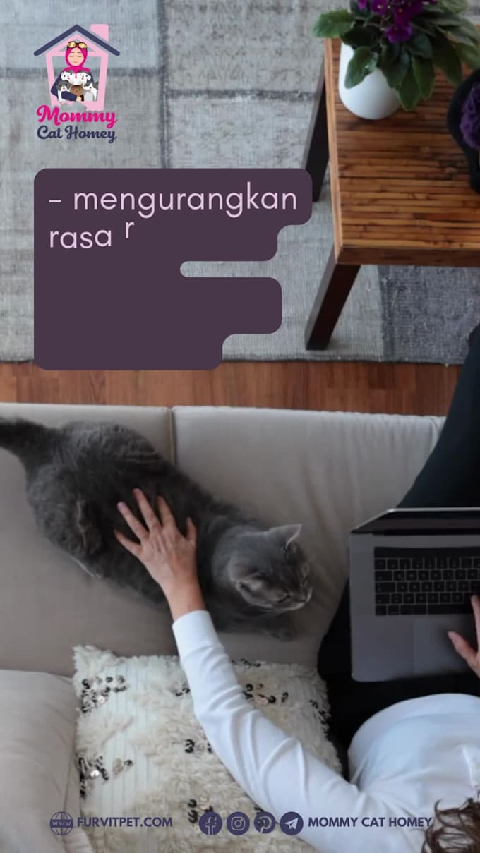 Create edit content and manage your tik tok account by Nurzawinnajah | Fiverr