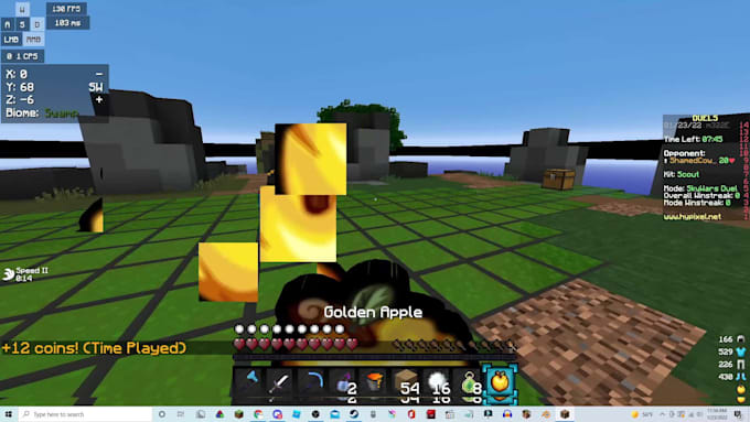 Coach you in pvp by Celestioty | Fiverr