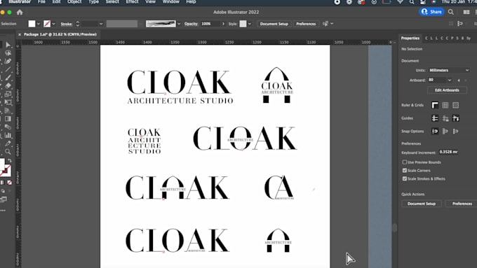 Design bespoke brand boards, including logo design and mockups by ...