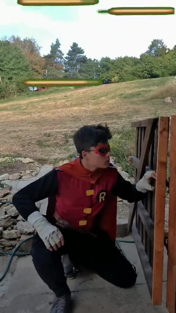 Do anything you want in robin costume by Vladislavec | Fiverr