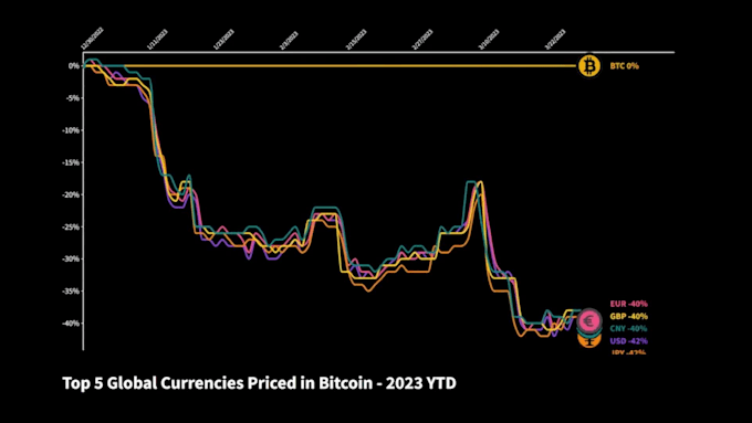 Animated charts for your data by Njderidder | Fiverr