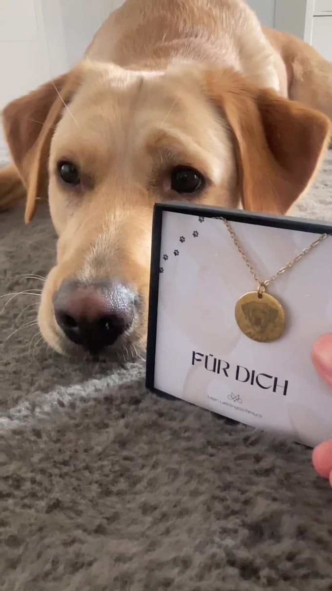 Create dog ugc videos by Michelle_ugc | Fiverr