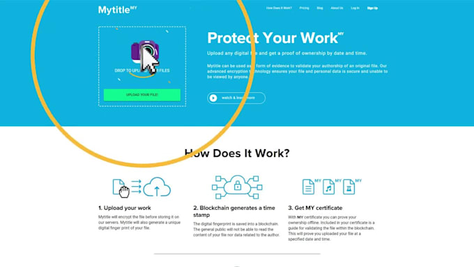 Create blockchain explainer videos and nft dashboard, ui animations by Wilsons01 | Fiverr