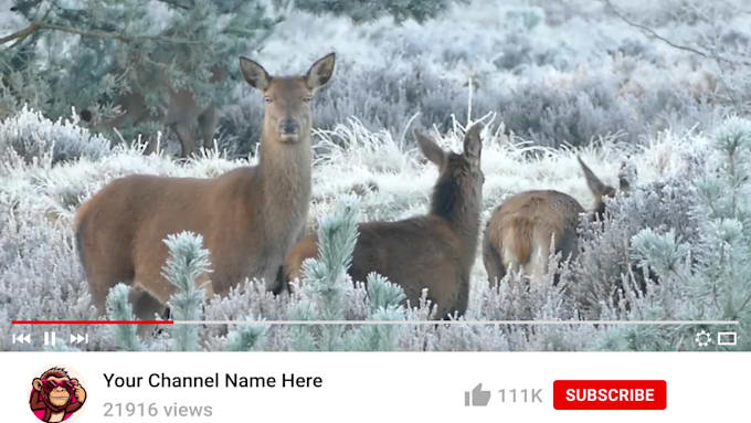 Make youtube channel trailer for your channel by Meta_vfx | Fiverr