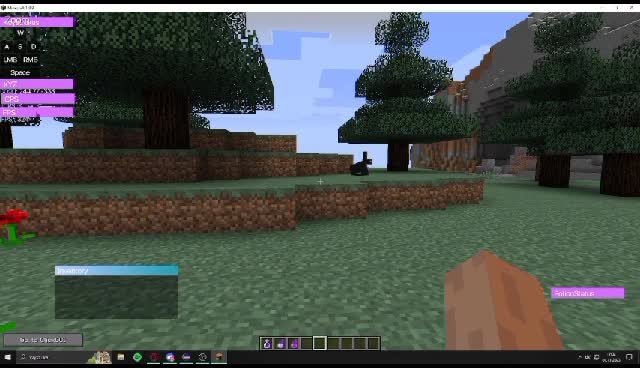 Do costume minecraft server and setup mod plugin, spigot paper by ...