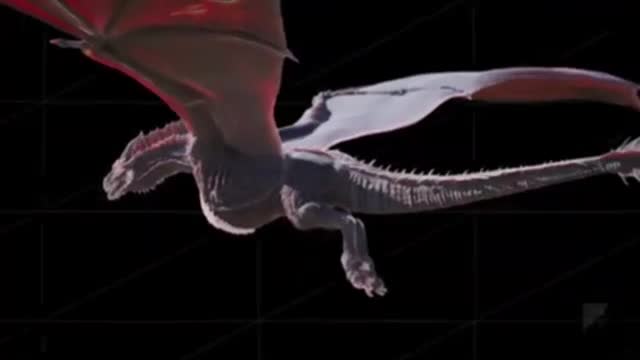 Render animal model, 3d dragon animation, rigging, 3d animal hair ...