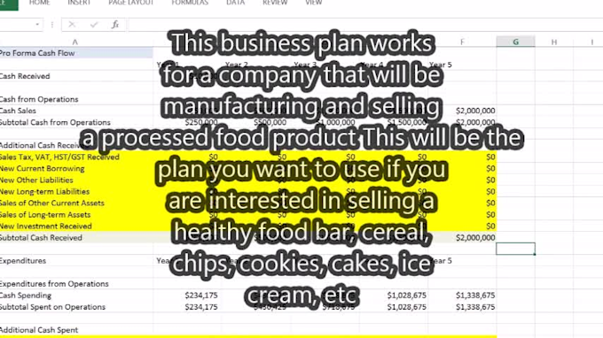 Deliver a food product business plan template by Jssnetbay