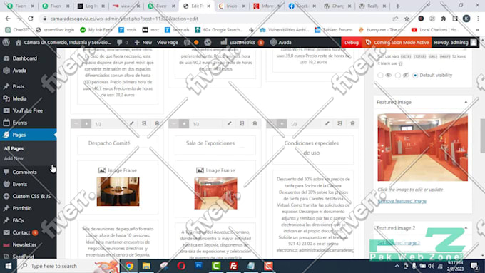 Fix wordpress issues wp theme plugin problems fix by Pakwebzone | Fiverr