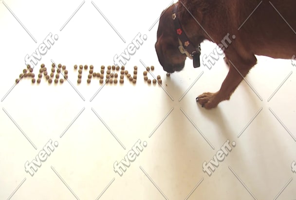 Let my cute dog write a message of your choice by Kikobrad