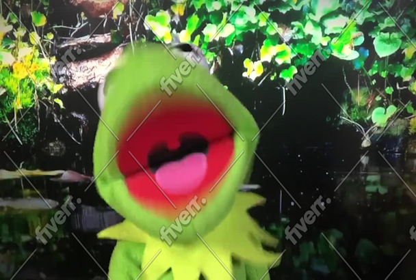Get kermit to personalize a video birthday greeting and song by Cosby01