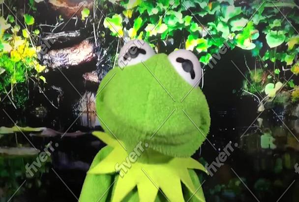 Get kermit to personalize a video birthday greeting and song by Cosby01