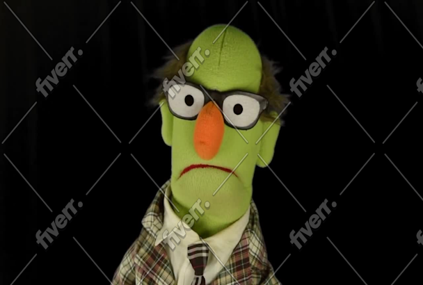 Have harold the puppet make a video about anything by Puppetgrams