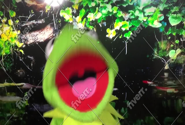 Get kermit to personalize a video birthday greeting and song by Cosby01