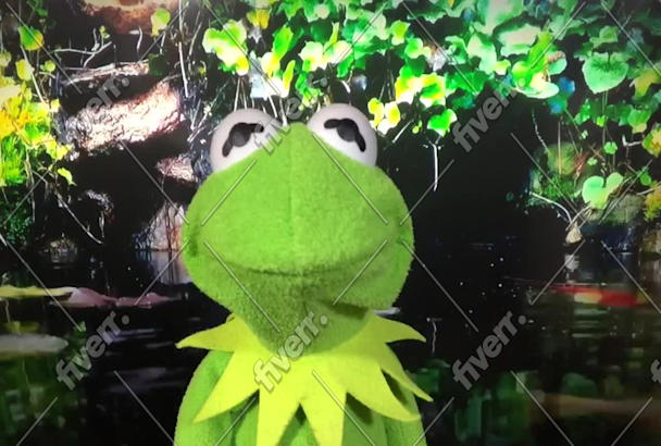 Get kermit to personalize a video birthday greeting and song by Cosby01