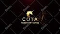 Do custom luxury logo animation intro by Wasiful007 | Fiverr