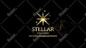 Do custom luxury logo animation intro by Wasiful007 | Fiverr